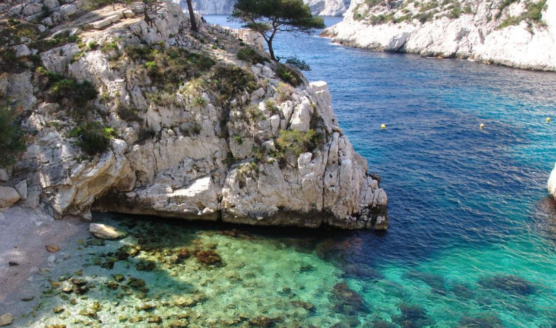 Vive 375: Montréal est complètement crique — Journal de Réal